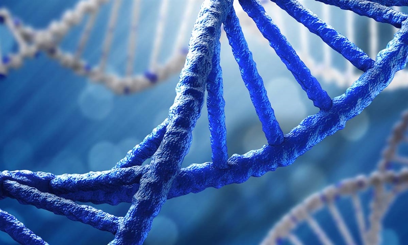 DNA Testi Nedir? Nasıl Yapılır? - MaksatBilgi
